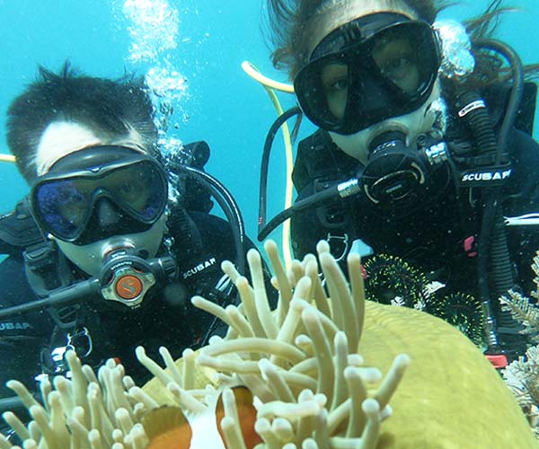 Seawave Beach and Dive Resort